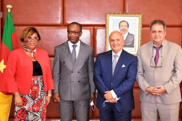 Cameroun - Coopération : Une mission de l'Onudi chez le Minpmeesa - Haurizon News