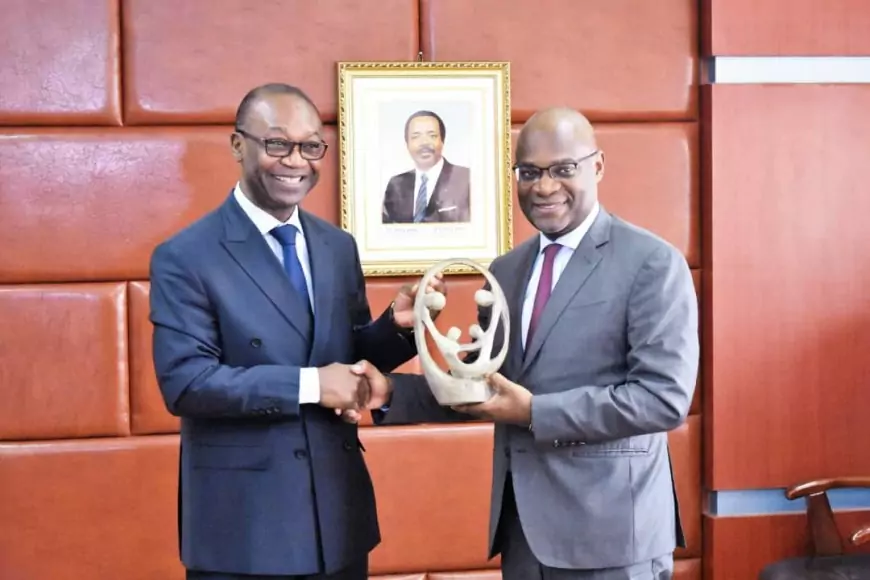 Cameroun / MINPMEESA : Audience accordée à Christian Yoka, Directeur ...