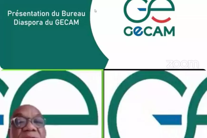 Diaspora camerounaise : le Gecam fait un gros plan d’investissement ...