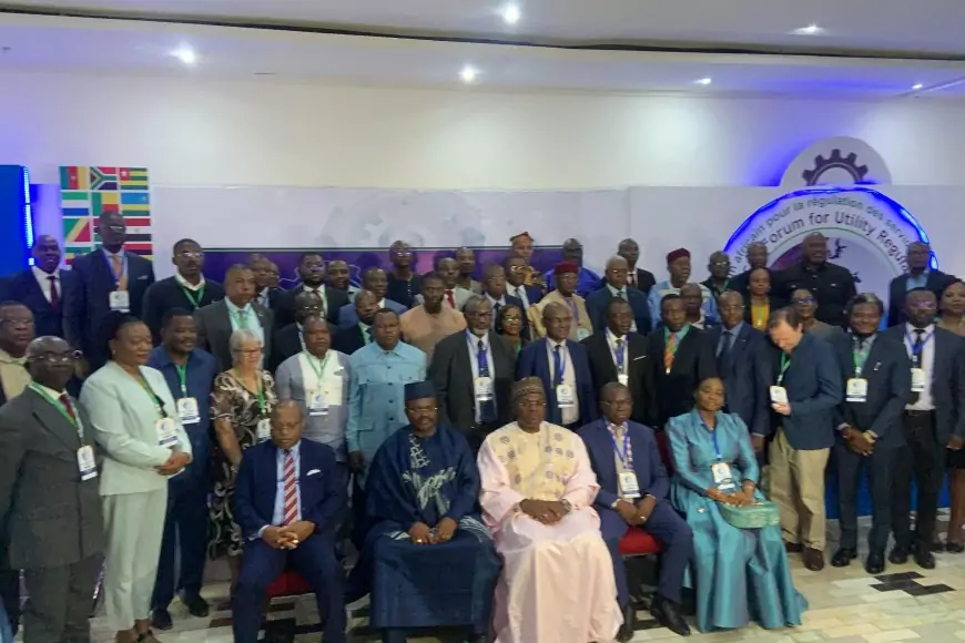 Afrique : Entre disparités et challenges, les régulateurs des secteurs publics en quête de ...